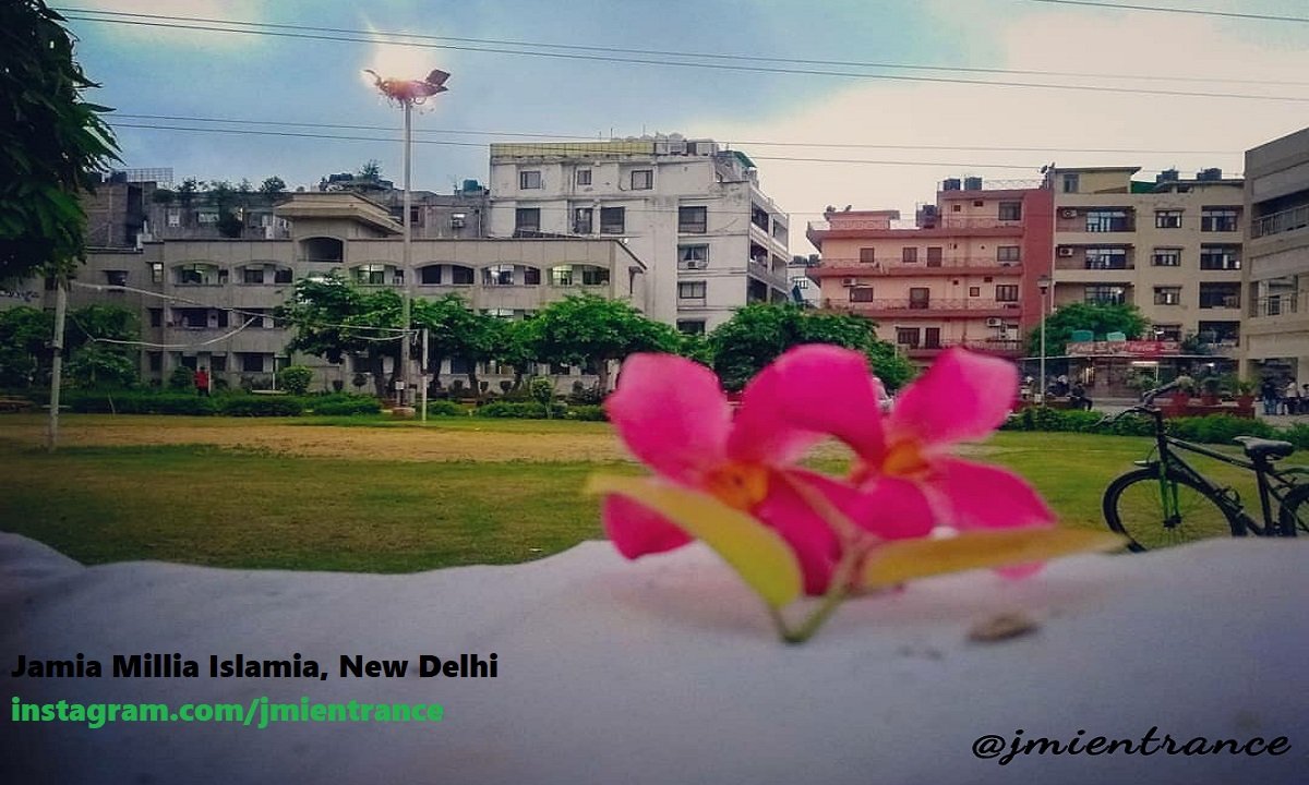 Jamia Llm All Details Cutoff Syllabus Last Year Paper 2025